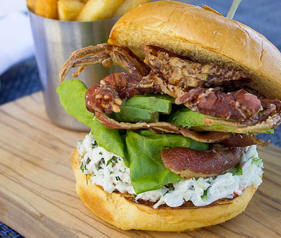 Foodie Fate: San Diego Edition